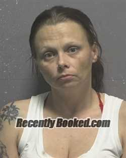 Recent Booking / Mugshot for RENEE GABRIELLA BLANTON in New Hanover ...