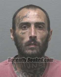 Recent Booking / Mugshot for SHANNON LEE FOWLER in New Hanover County ...