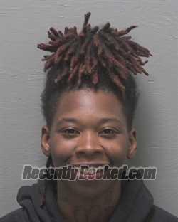 Recent Booking / Mugshot for TYRIKA LASHAY WILSON in New Hanover County ...