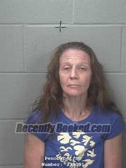 Recent Booking / Mugshot for Destiny Lynn Alton in Penobscot County, Maine