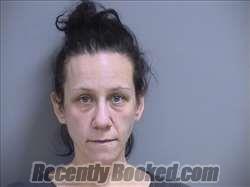 Recent Booking / Mugshot for ERIN MICHELLE BOULETTE in Somerset County ...