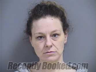 Recent Booking / Mugshot for ELIZABETH MICHELLE MOSHER in Somerset ...