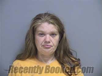Recent Booking / Mugshot for AMANDA MARIE LAPOINTE in Somerset County ...