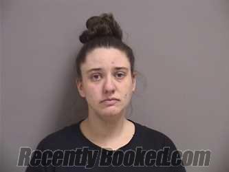 Recent Booking / Mugshot for MICHAELA ELIZABETH HIGGINS in Somerset ...