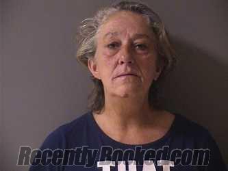 Recent Booking / Mugshot for KRISTI MICHELLE ROBINSON in Somerset ...