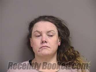 Recent Booking / Mugshot for AMANDA LYNN-MARIE MCINTIRE in Somerset ...