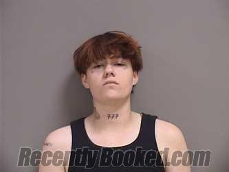Recent Booking / Mugshot for DEVYN LEIGHANNE AUSTIN in Somerset County, Maine