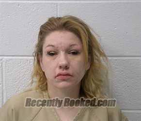 Recent Booking / Mugshot for SARAH LYNETTE DERSIN in Allegany County ...