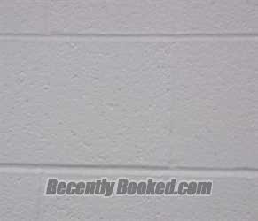 Recent Booking / Mugshot for ALYSSA ELLEN HOCKENBERRY in Allegany ...