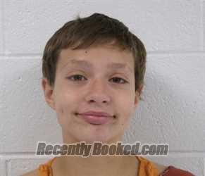 Recent Booking / Mugshot for HEIDI STORM TOWNSEND in Allegany County ...