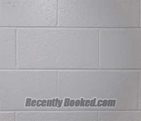 Recent Booking / Mugshot for BRIAN RONALD NETTLES in Allegany County ...