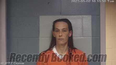 Hillary Lynn Hansen Mugshot & Arrest Info | Dorchester County, MD
