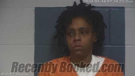 Recent Booking / Mugshot for SHERISE IVY SAMPSON in Dorchester County ...