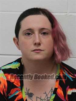 Recent Booking / Mugshot for AMBER LEIGH CROCKETT in Wicomico County ...