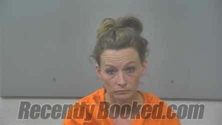 Recent Booking / Mugshot for AMBER LYNN BEVAN in Alpena County, Michigan