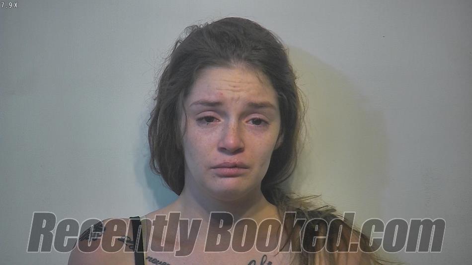 Recent Booking / Mugshot for BRITTANY LYNN FERRELL in Alpena County ...