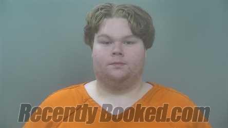 CODEE HARVEST JOHNSON Arrest Record & Booking Info – Alpena County ...