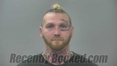 Recent Booking / Mugshot for CORRI ALLEN MAYNARD in Alpena County, Michigan