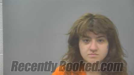 Recent Booking / Mugshot for CHEYENNE MARIE VILLENEUVE in Alpena County ...
