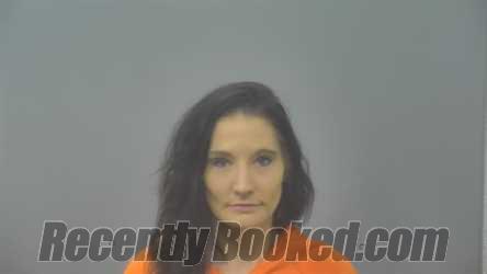 Recent Booking / Mugshot for COURTNEY LYNN WERDA in Alpena County, Michigan