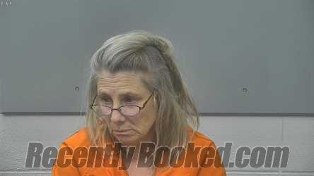 Recent Booking / Mugshot for DEBORAH ROSE LEEPER in Alpena County, Michigan