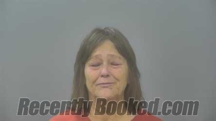 DELORES CYNTHIA PETERS Arrest Record & Booking Info – Alpena County ...