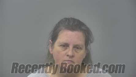 Recent Booking / Mugshot for ELIZABETH FERN MARTIN in Alpena County ...