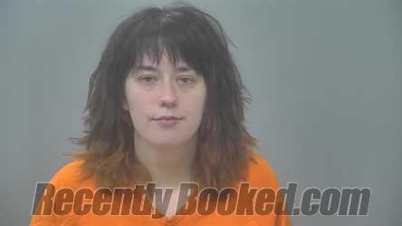 Recent Booking / Mugshot for HALEY DAWN BETTERLY in Alpena County, Michigan