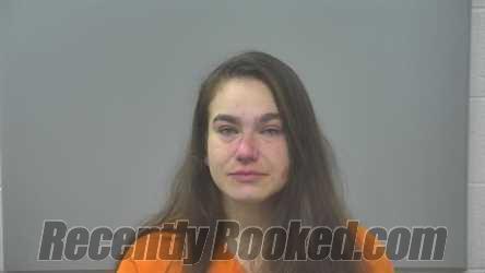 Recent Booking / Mugshot for JESSICA IRENE DAVIS in Alpena County, Michigan