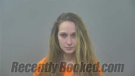 KELSEY AMBER WENZEL Arrest Record & Booking Info – Alpena County ...