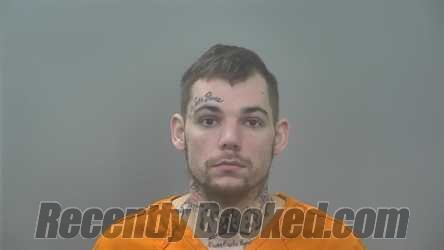 Recent Booking / Mugshot for LOGAN TANNER WYGANT in Alpena County, Michigan