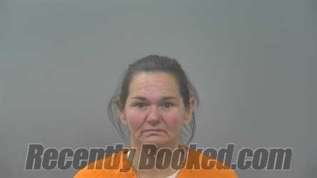 Recent Booking / Mugshot for LISA JOAN WING in Alpena County, Michigan