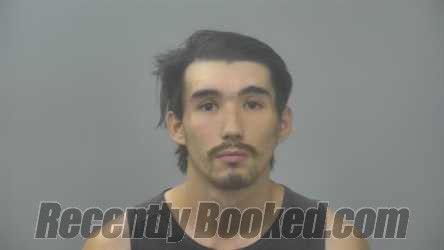 Recent Booking / Mugshot for WAYLAN ALLEN MINOR in Alpena County, Michigan