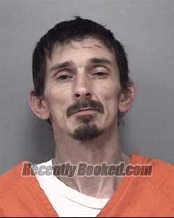 Recent Booking / Mugshot for JAMIE LEE ROWE in Calhoun County, Michigan