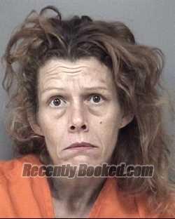 Recent Booking / Mugshot for KERRI ANN NEWLAND in Calhoun County, Michigan