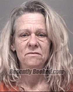 Recent Booking / Mugshot for STACEY LYN FRASER in Calhoun County, Michigan
