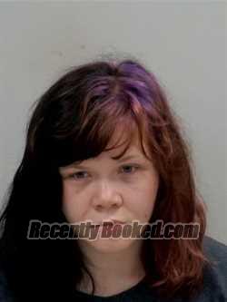 Recent Booking / Mugshot for Packer Brittaniee Sally in Chippewa County ...