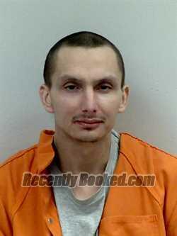 Recent Booking / Mugshot for Nertoli Brandon John in Chippewa County ...