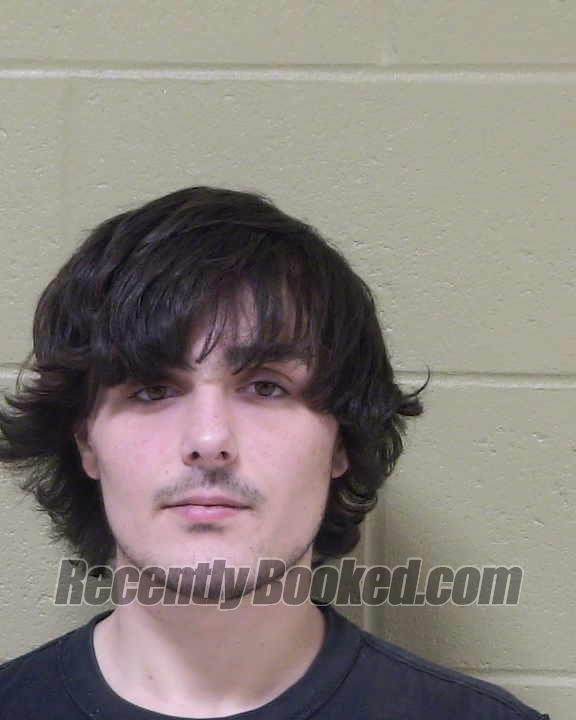 DUSTYN ALEXANDER MCNELLIS Arrest Record & Booking Info – Delta County ...
