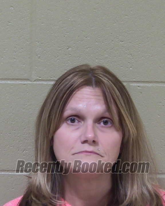 Recent Booking / Mugshot for JENNIFER LYNN NELSON in Delta County, Michigan