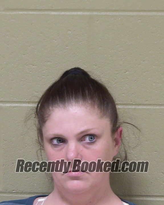 Falacia Marie Lunn Mugshot & Arrest Info | Delta County, MI