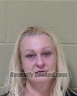 Recent Booking / Mugshot for NATALIE MARIE JETT in Delta County, Michigan