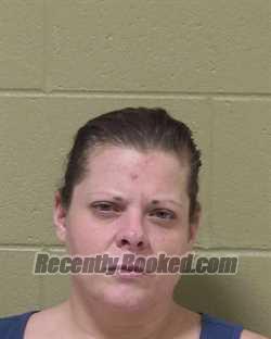 Recent Booking / Mugshot for NICOLE LEE GUERTIN in Delta County, Michigan