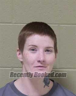 Recent Booking / Mugshot for CHELSEA MICHELLE HEIMERL in Delta County ...