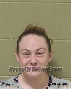 Recent Booking / Mugshot for ANDREA RAE HATHAWAY in Delta County, Michigan