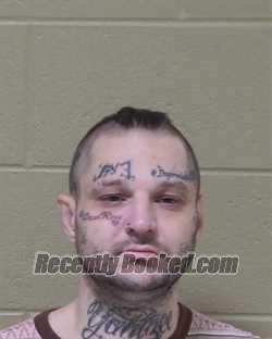 Recent Booking / Mugshot for BRANDEN RAY CAPPAERT in Delta County, Michigan