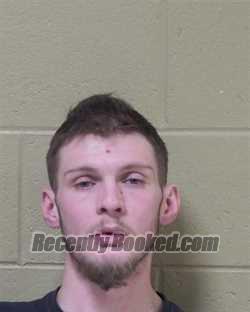 Recent Booking / Mugshot for RILEY ETHAN MESERVE in Delta County, Michigan