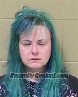 HEATHER LYNN RUSH Arrest Record & Booking Info – Delta County, Michigan ...