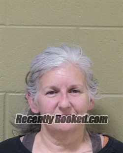 Recent Booking / Mugshot for SHEILA ANNE MASTERS in Delta County, Michigan