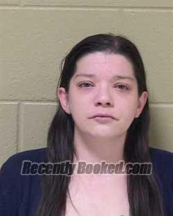 Recent Booking / Mugshot for RYAN MICHELLE HELTON in Delta County, Michigan